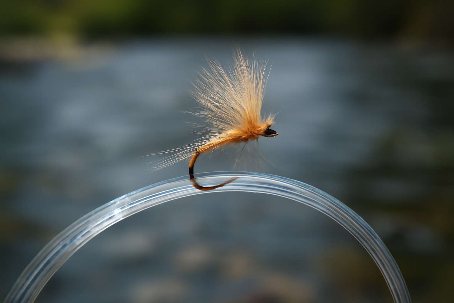 Mastering the Art of Fishing: Why Fluorocarbon for Dry Flies Is Your ...